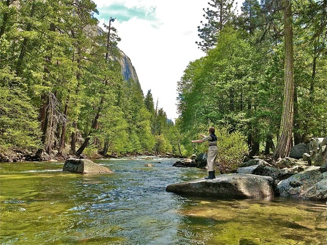 Yosemite Excursions, Tours & Guided Hikes | Firefall Ranch